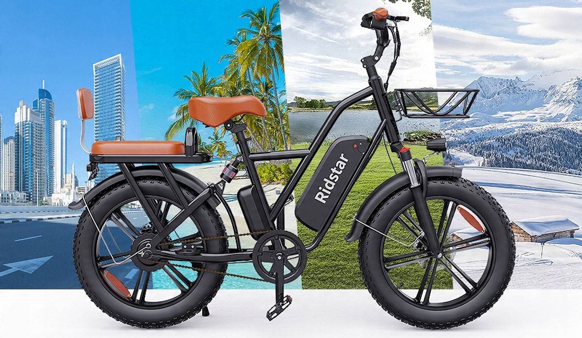 RIDSTAR FM001 Electric Bike 1000W 48V 15.6Ah 20x4 inch Fat Tire Max ...